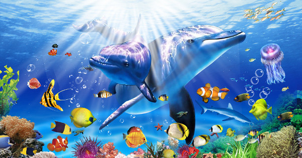 Đại dương và những bí ẩn ít ai biết - Trắc nghiệm kiến thức - VnDoc.com