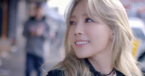 Giải bài tập SBT Địa lý 9 bài 24: Vùng Bắc Trung Bộ (tiếp theo) - Giải ...