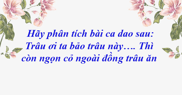 Hãy phân tích bài ca dao sau: Trâu ơi ta bảo trâu này…. Thì còn ngọn cỏ ...