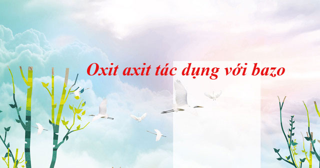 Oxit axit tác dụng với bazo - Chuyên đề môn Hóa học lớp 9 - VnDoc.com