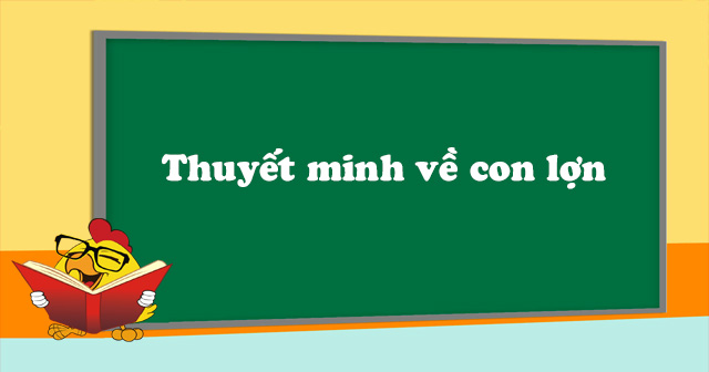 Thuyết minh về con lợn - 5 Bài Văn thuyết minh lớp 9 - VnDoc.com