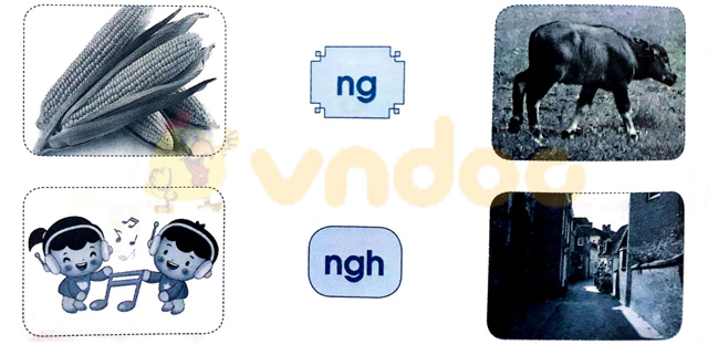 Giải Vở bài tập Tiếng Việt lớp 1 trang 20 Bài 19: Ng ng Ngh ngh - Sách Kết nối tri thức với cuộc ...