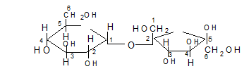 Lý thuyết hóa 12 chương 2: Carbohydrate đầy đủ nhất - Tóm tắt Chương 2 ...