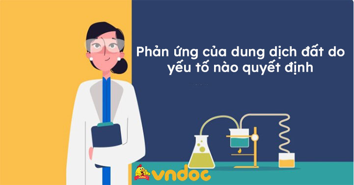 Phản ứng của dung dịch đất do yếu tố nào quyết định - Phản ứng của dung ...