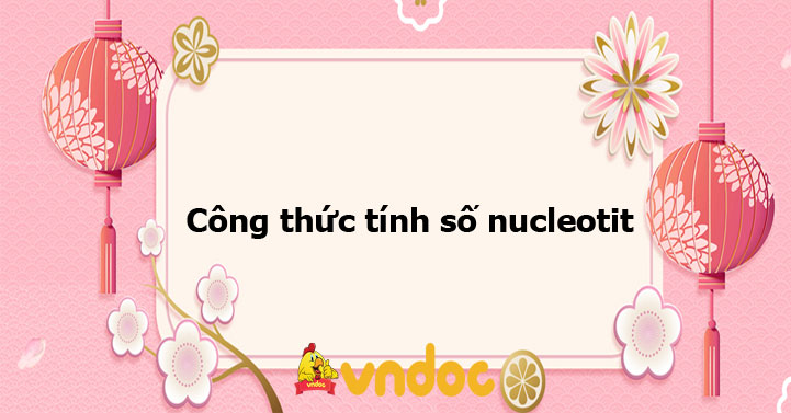 Công thức tính số nucleotit - Ôn tập môn Sinh học lớp 8 - VnDoc.com