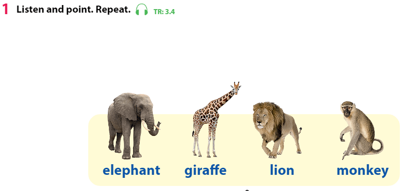 Tiếng Anh 3 Wonderful World Unit 3 Lesson 2 - Unit 3 lớp 3 Lesson 2 ... Tiếng Anh 3 Wonderful World Unit 3 Lesson 2 - Unit 3 lớp 3 Lesson 2 ...