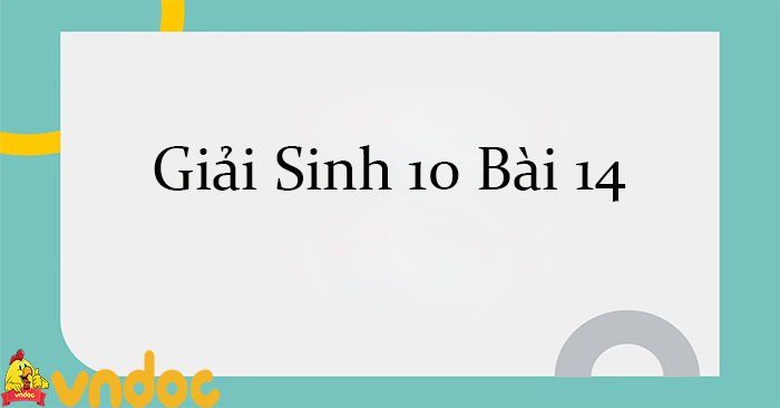 Giải Sinh 10 Bài 14: Thực hành một số thí nghiệm về enzyme CTST - Giải Sinh 10 sách Chân trời ...