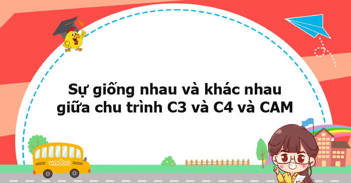 Sự giống nhau và khác nhau giữa chu trình C3 và C4 và CAM - Ôn tập môn ...
