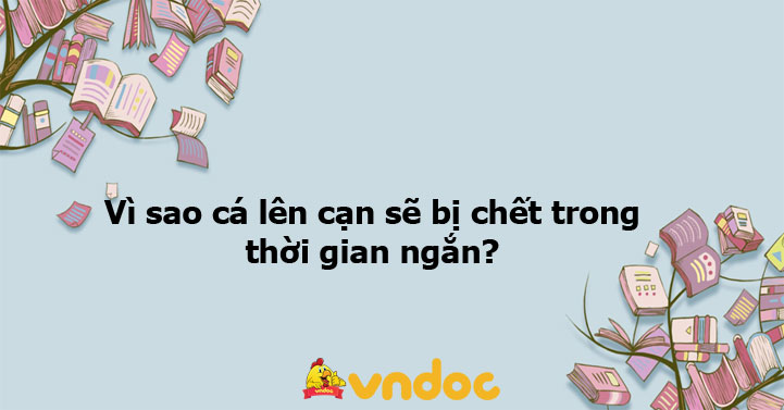 Vì sao cá lên cạn sẽ bị chết trong thời gian ngắn? - Ôn tập môn Sinh ...