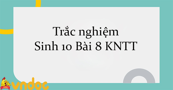 Trắc nghiệm Sinh 10 Bài 8 KNTT - Tế bào nhân thực - VnDoc.com
