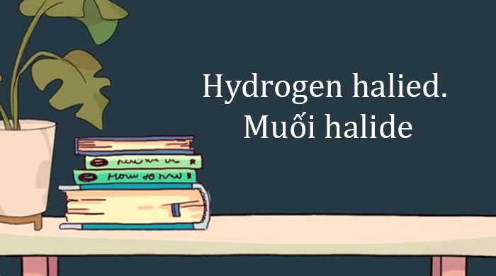 Hydrogen halide. Muối halide - Lý thuyết hóa 10 Kết nối tri thức - VnDoc.com