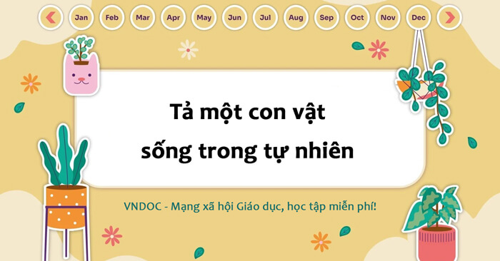 Viết bài văn tả một con vật sống trong môi trường tự nhiên lớp 4 - Tả con vật lớp 4 - VnDoc.com