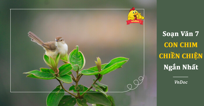 Soạn bài Con chim chiền chiện Ngắn Nhất lớp 7 Chân trời sáng tạo - Con ...