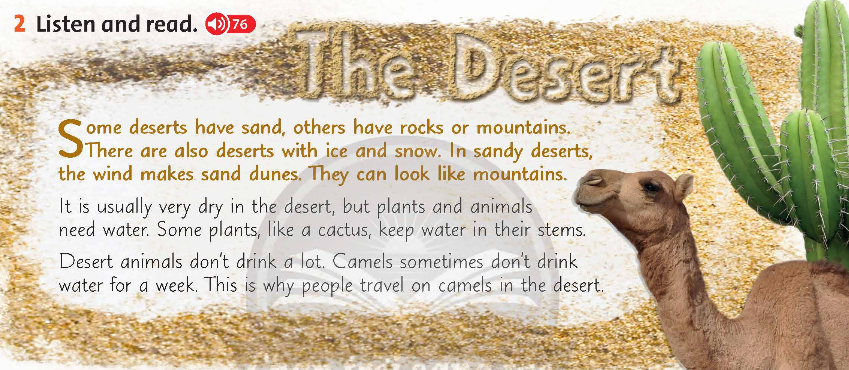 Family and Friends 5 National Edition Fluency Time 2 Lesson 2 - Tiếng ...