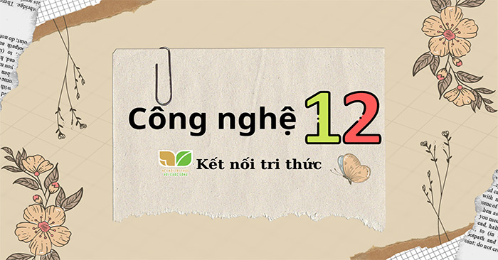 Công nghệ 12 Kết nối tri thức; Giải Công nghệ 12 chi tiết, hay nhất