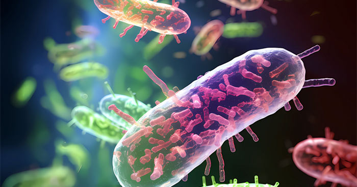 Giáo án Khoa học 5 Bài 18: Vi khuẩn quanh ta (PPT + Word)