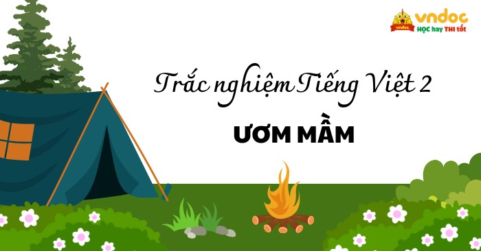 Trắc nghiệm Ươm mầm lớp 2 Cánh Diều - VnDoc.com