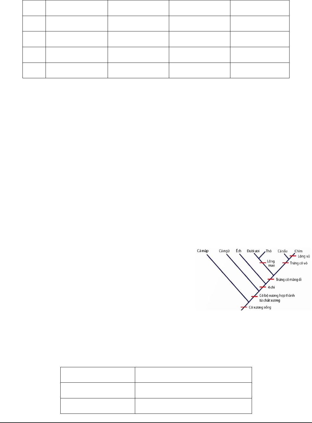 Đề thi thử tốt nghiệp THPT 2025 môn Sinh học Sở GD&ĐT Bến Tre - Thi THPT Quốc gia 2025 - VnDoc.com